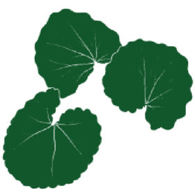 Hanbang Mask - Cica - Clean & Green Beauty